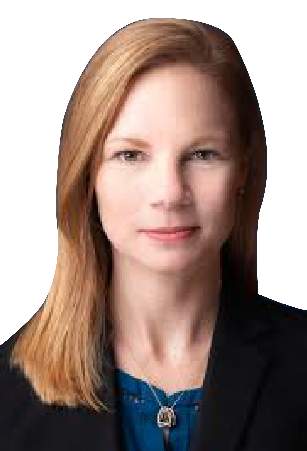 Galloway Crime Plan - Nicole Galloway's anti-police, pro-crime team.